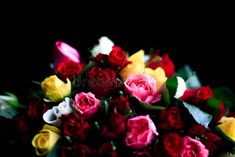 Bouquet of Different Colorful Roses on Black Background Stock Image ...