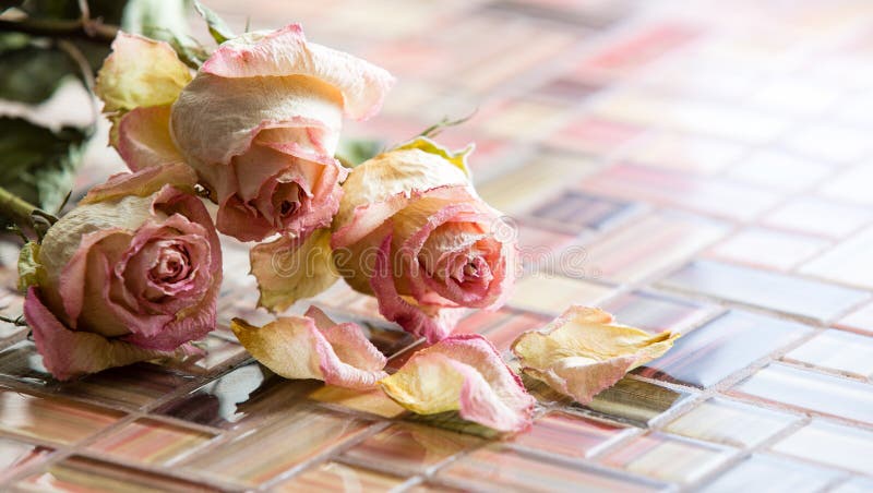 Bouquet of dried roses stock photo. Image of flower, aging - 57361512