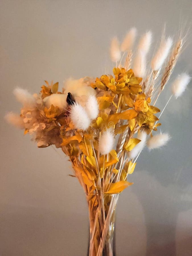 Bouquet of Dry Grass. Decorative Bouquet of Dry Stems Stock Photo ...