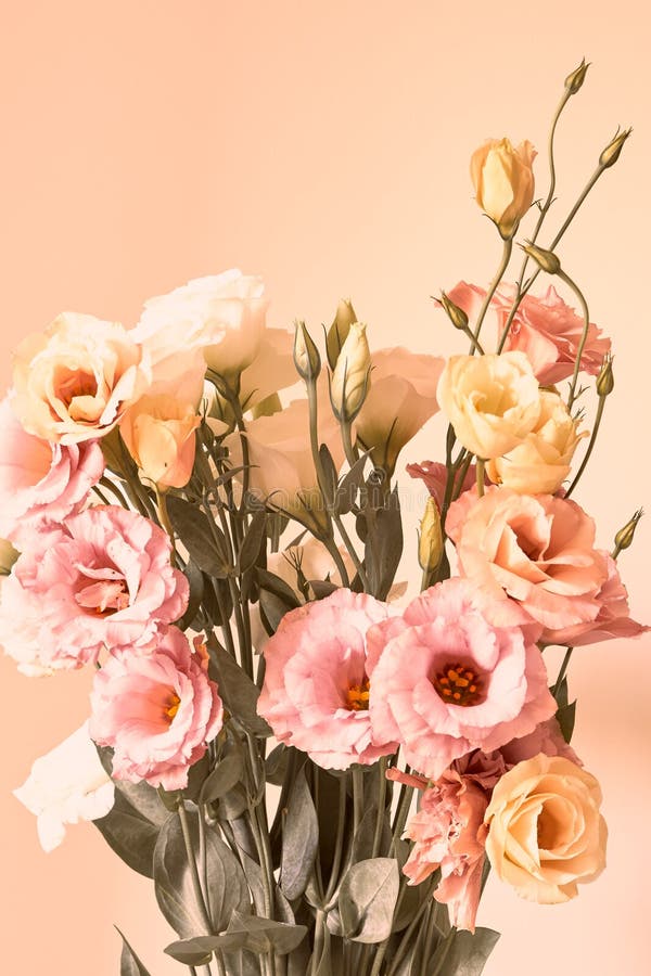 A Bouquet of Eustoma Flowers Stands in the Greenhouse Stock Image ...