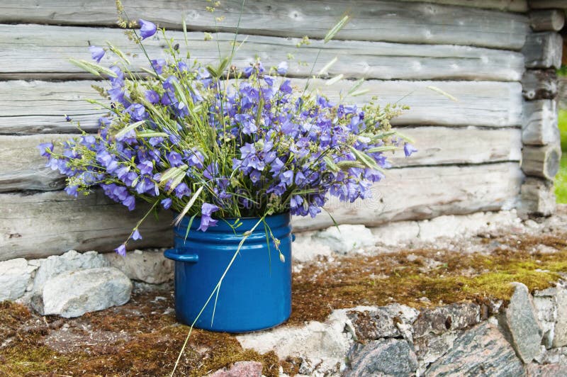 Bouquet of field flowers stock photo. Image of ears, bunch - 23526416