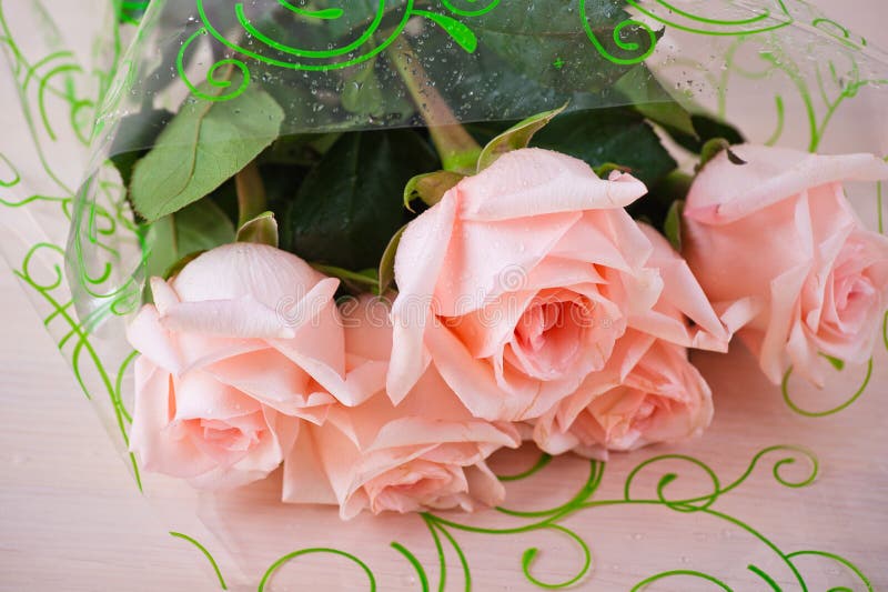 Five Pink Roses with Some Green Stock Photo - Image of woody, pink ...