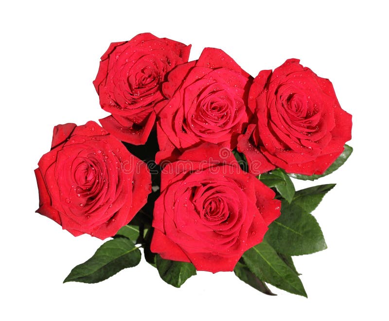 A Bouquet of Five Pink Flowers Peonies Standing in the Room on the ...