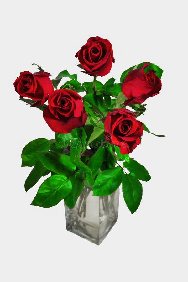 502 Bouquet Five Roses Red Background Stock Photos - Free & Royalty ...