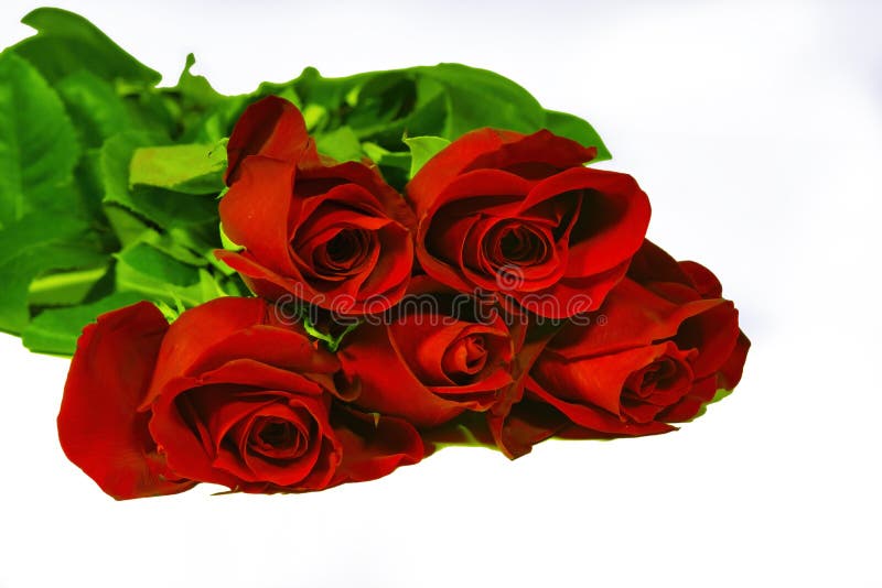 502 Bouquet Five Roses Red Background Stock Photos - Free & Royalty ...
