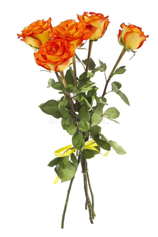 A Bouquet of Five Pink Flowers Peonies Standing in the Room on the ...