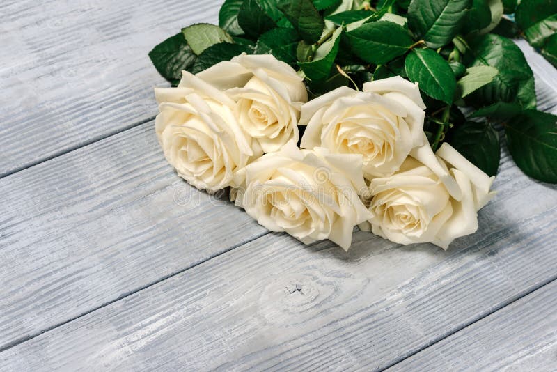 A Bouquet of Five White Roses Lies on a Wooden Surface with a Copy ...