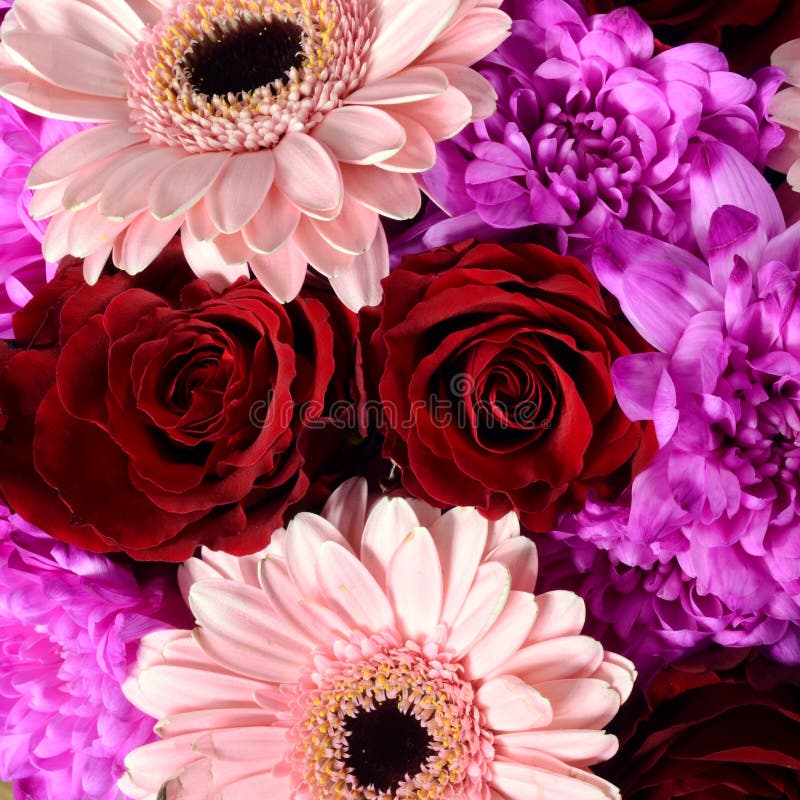 Bouquet of Flower Roses and Daisy Stock Image - Image of aster, flower ...