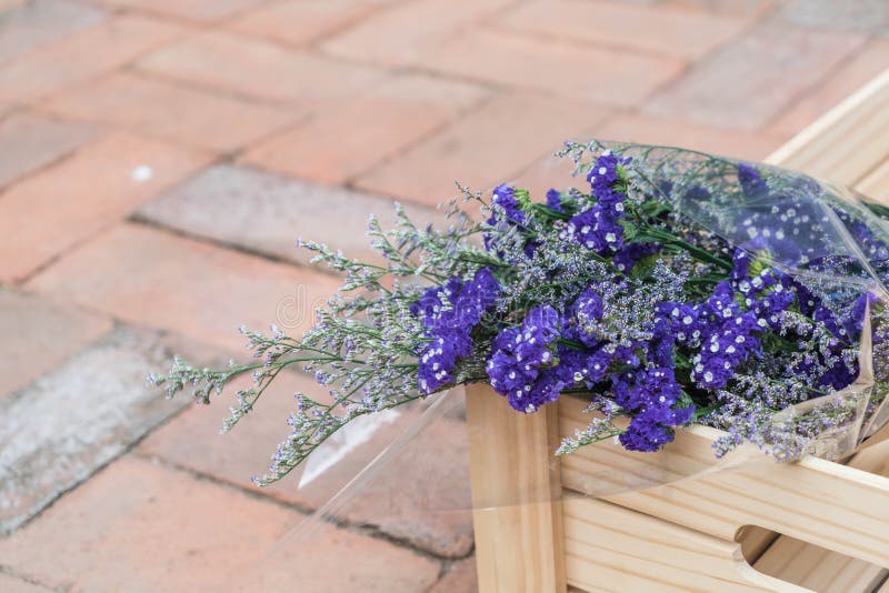 Statis flower in vase stock photo. Image of pretty, bouquet - 98018884