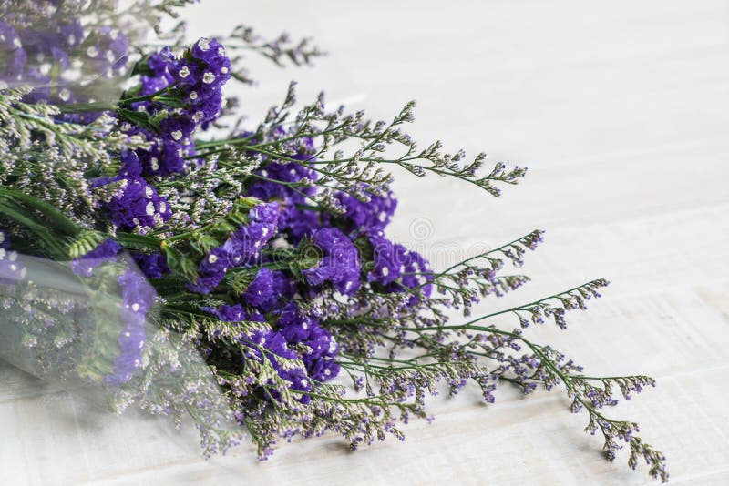 Bouquet flower of statis stock photo. Image of color - 95438890