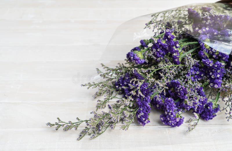 117 Statis Flower Stock Photos - Free & Royalty-Free Stock Photos from ...