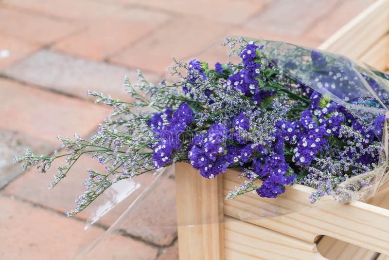Statis flower in vase stock photo. Image of pretty, bouquet - 98018884