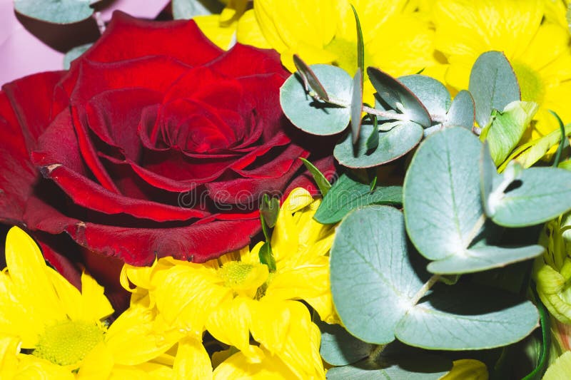 Bouquet of Flowers with Big Red Rose Stock Photo - Image of plant ...