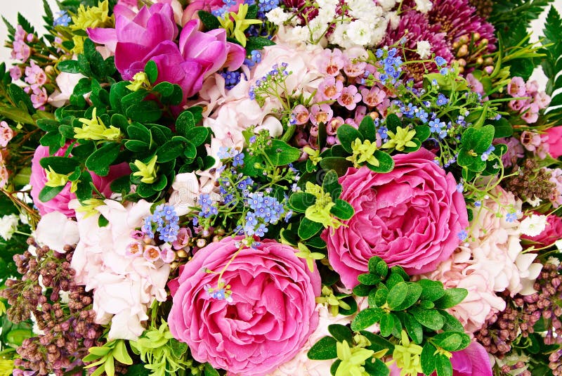 Bouquet flowers close up stock image. Image of green - 39848353