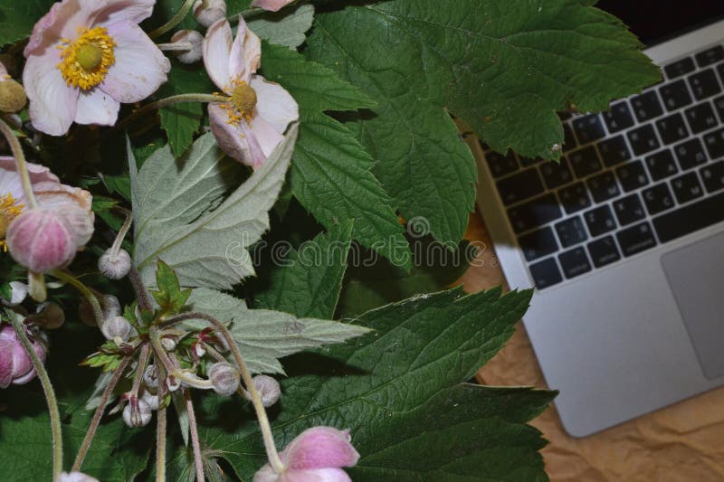 A Bouquet of Flowers and a Computer on the Table Stock Image - Image of ...