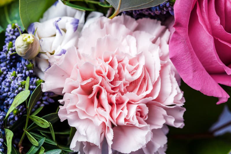 Bouquet of Flowers. Festive Flowers Composition Stock Image - Image of ...