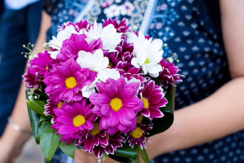 Ladies hands clapping stock photo. Image of clapping, hands - 3060452