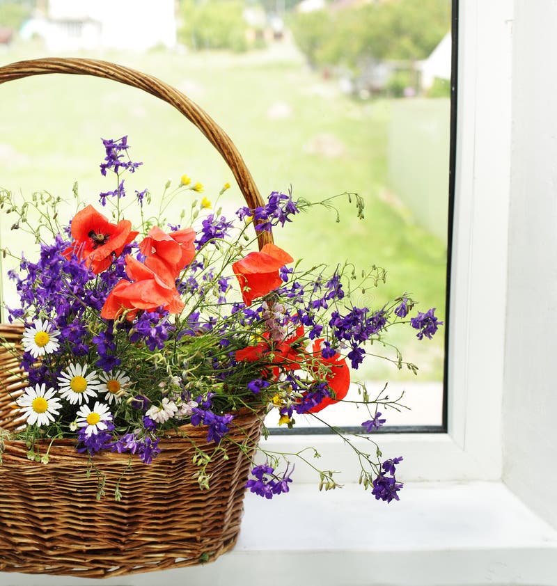 Bouquet of Flowers on a Plastic Window Stock Photo - Image of house ...