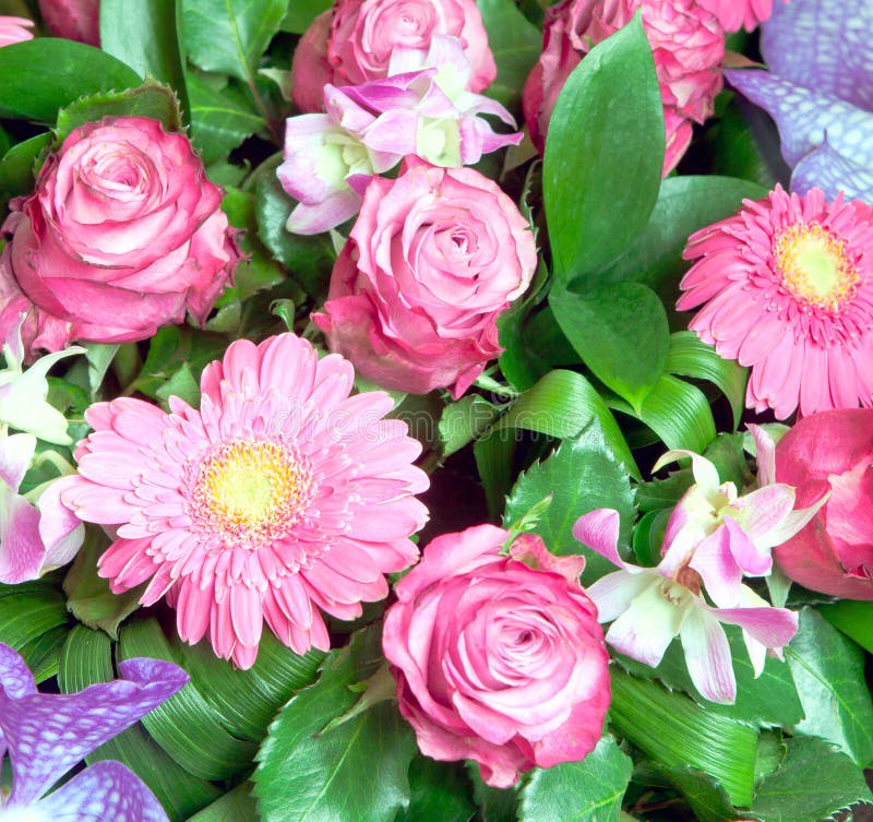 Bouquet of flowers stock image. Image of beauty, anniversary - 35595951