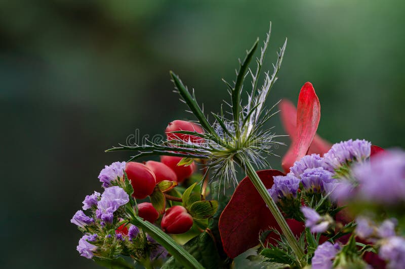 Bouquet of flowers stock photo. Image of beautiful, decoration - 197912064