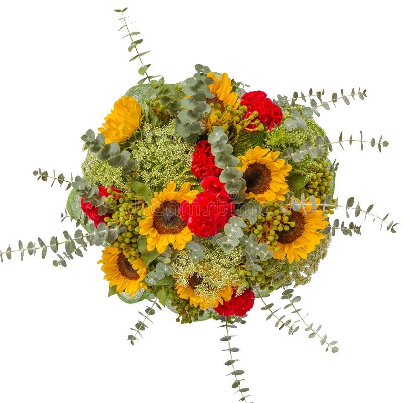 Bouquet of Flowers Top View Isolated on White Stock Photo - Image of ...