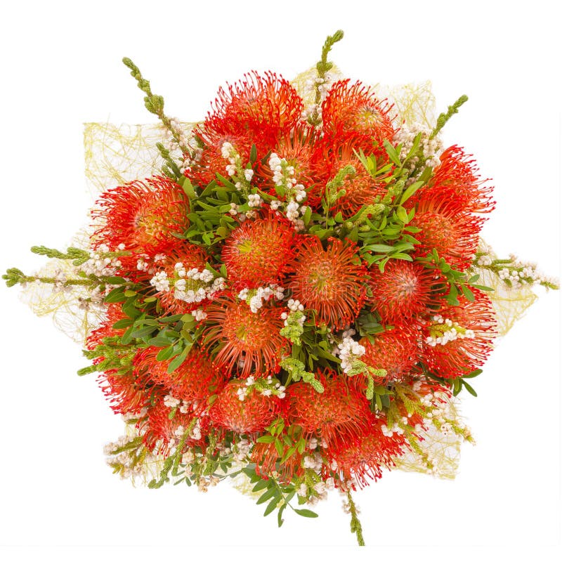 Bouquet of Flowers Top View Isolated on White Stock Photo - Image of ...