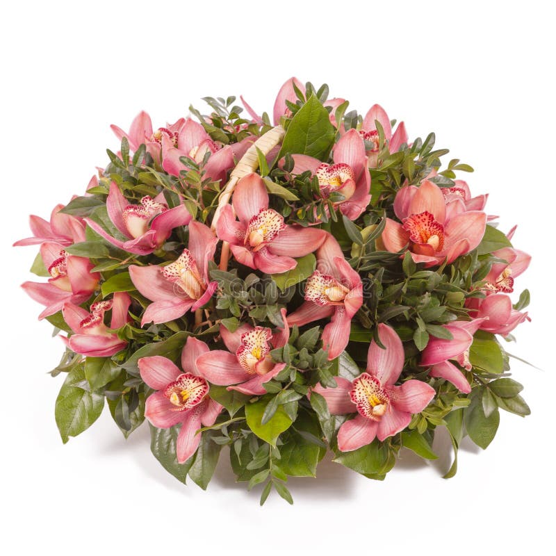 Bouquet of Flowers Top View Isolated on White Stock Image - Image of ...