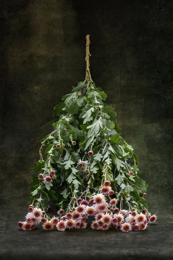 A Bouquet of Flowers Turned Upside Down Stock Photo - Image of green, leaves: 396016190