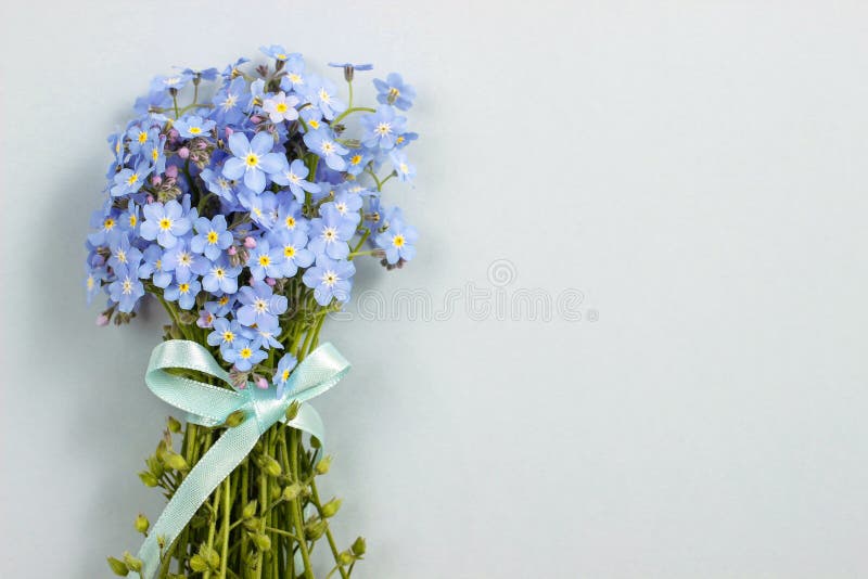 Bouquet of Forget-me-not Flowers in Glass Vase Stock Image - Image of ...