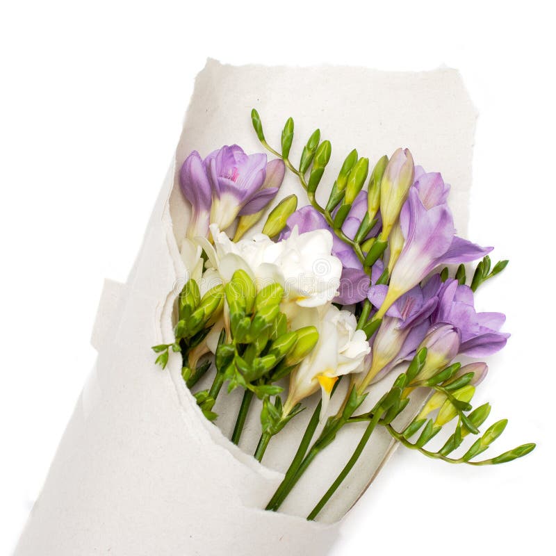 Bouquet of Freesia in the Paper Stock Photo - Image of detail, fresia ...