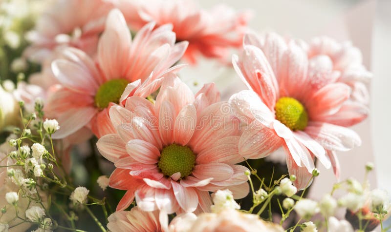 Bouquet of Fresh and Colorful Flowers Stock Photo - Image of card ...