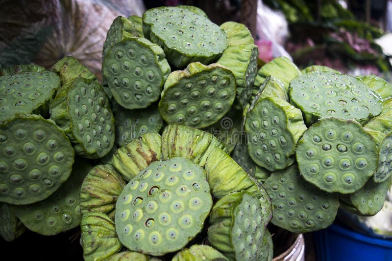 Bouquet of Fresh Lotus Seed Pod Head Stock Image - Image of market ...