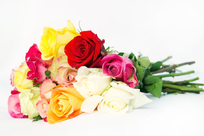 Bouquet of Fresh Multicolor Roses Stock Photo - Image of love, plant ...