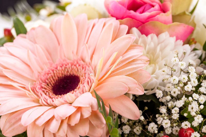 Bouquet of Fresh Pink and White Flowers Stock Image - Image of ...