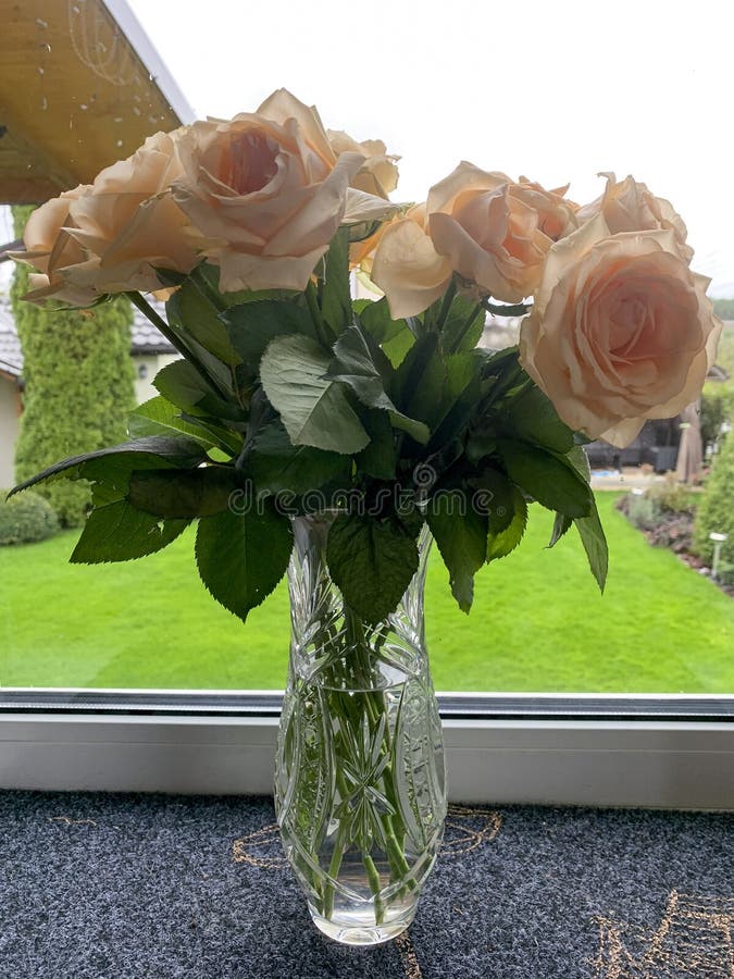 Bouquet of Fresh Roses in Crystal Vase. Studio Photo Stock Photo ...
