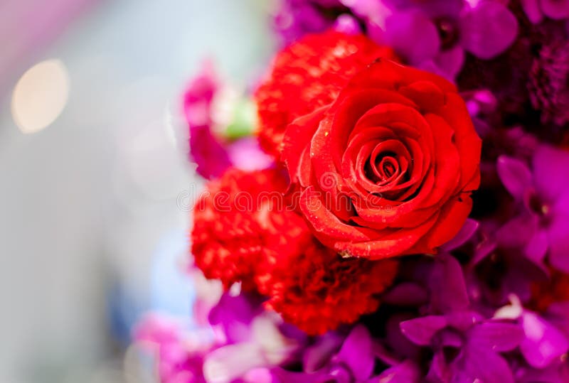 Bouquet of Fresh Roses, Flower Bright Background Stock Photo - Image of ...