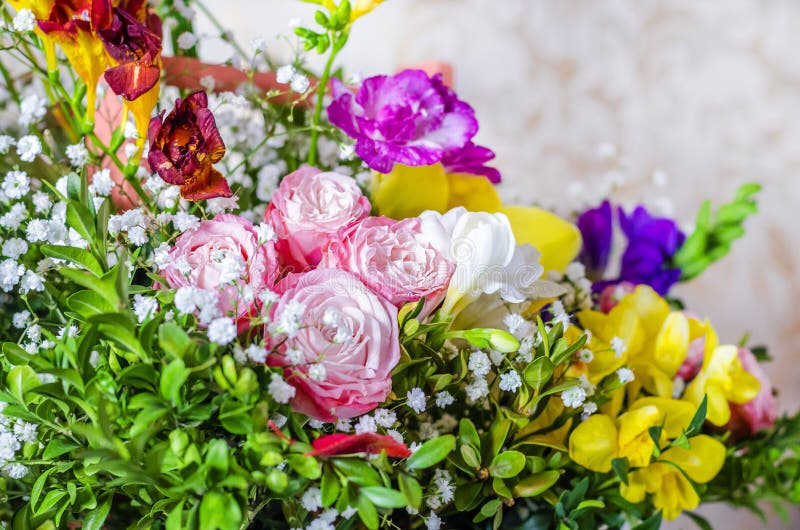 Bouquet of Fresh Spring Flowers Close Up Stock Photo - Image of bloom ...