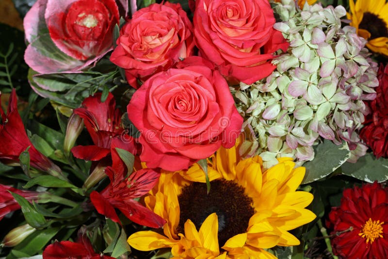 Bouquet of Fresh Summer Flowers Stock Photo - Image of beauty, rose ...