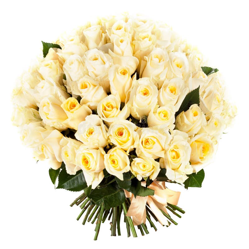 A Bouquet of Fresh White Roses Isolated on White Background Stock Image ...