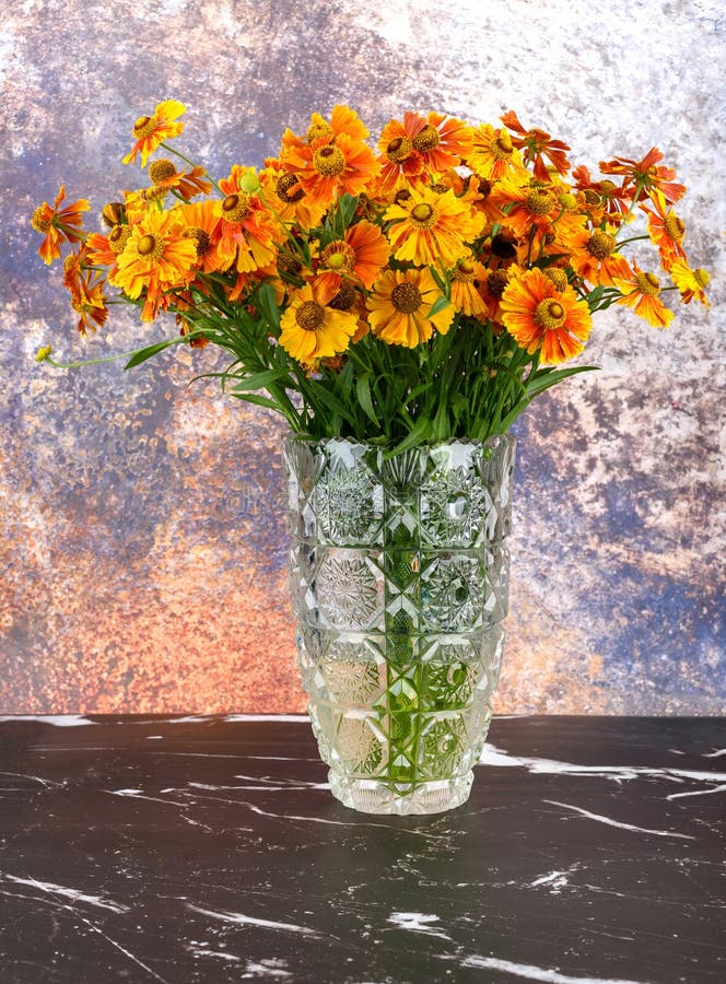Bouquet of Freshly Cut Helenium Flowers in a Glass Vase. Stock Image ...