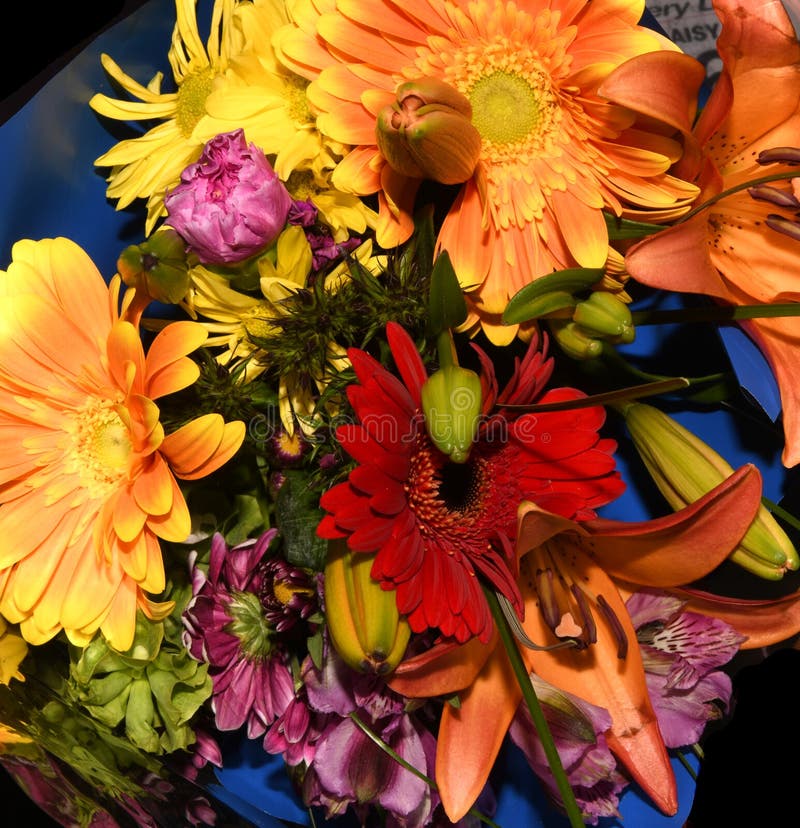 A Bouquet of Gerbera Daisies Stock Image - Image of bouquet, floral ...