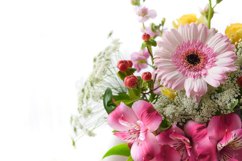 Bouquet of gerbera flowers stock photo. Image of bouquet - 240760190
