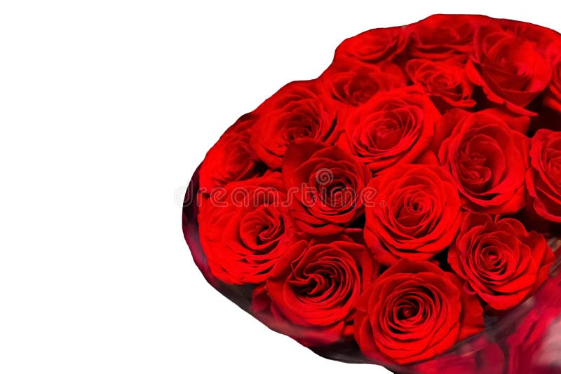 Bouquet Group of Many Red Roses Flowers on the White Isolated ...