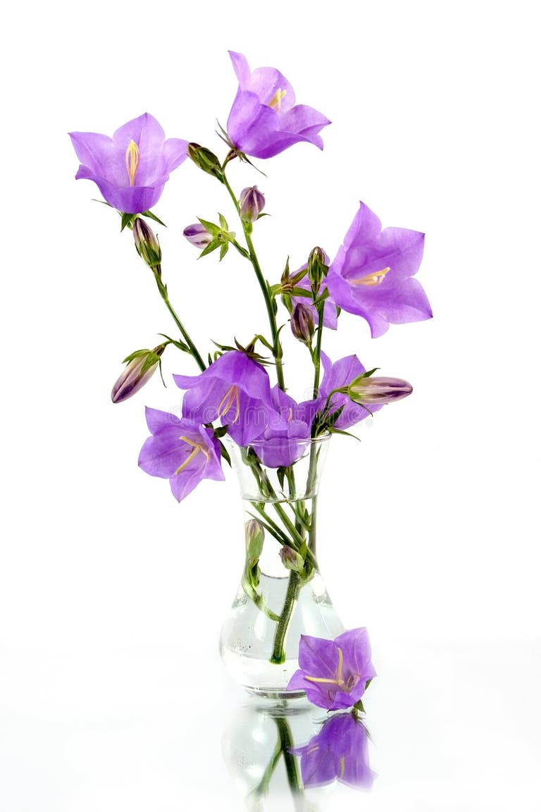 14,162 Bouquet Spring Season Hand Stock Photos - Free & Royalty-Free ...