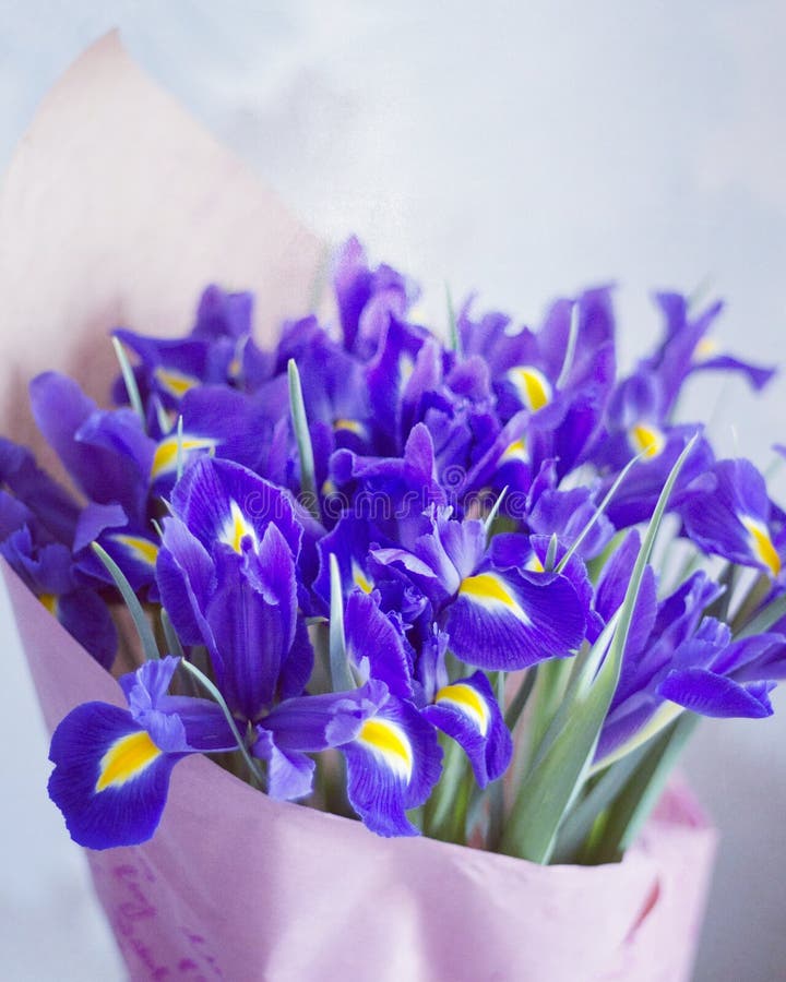 A bouquet of irises stock image. Image of love, purple - 73996907
