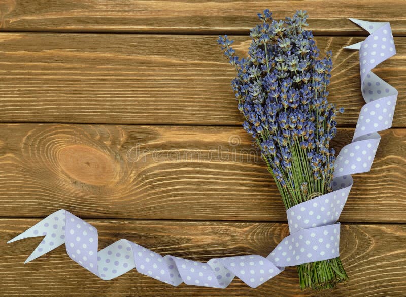 Bouquet Lavender Decorated with Ribbon Stock Photo - Image of bouquet ...