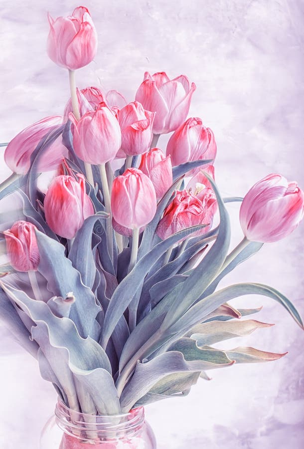 Bouquet of Lilac Fading Tulips on a Gray Background. Stock Image ...