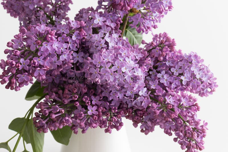 Bouquet of Lilac Flowers in a Vase Stock Photo - Image of vase ...