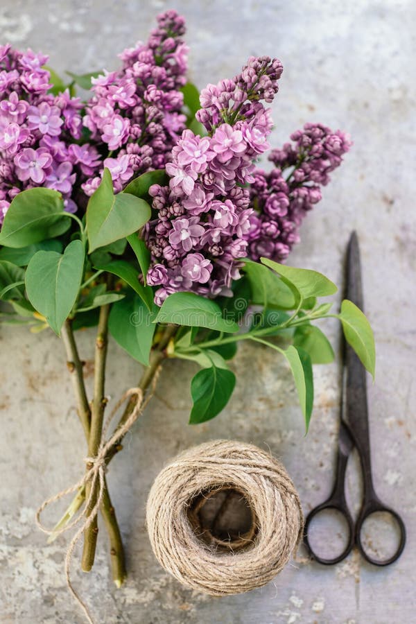 Bouquet of lilac stock image. Image of beauty, flower - 184751705