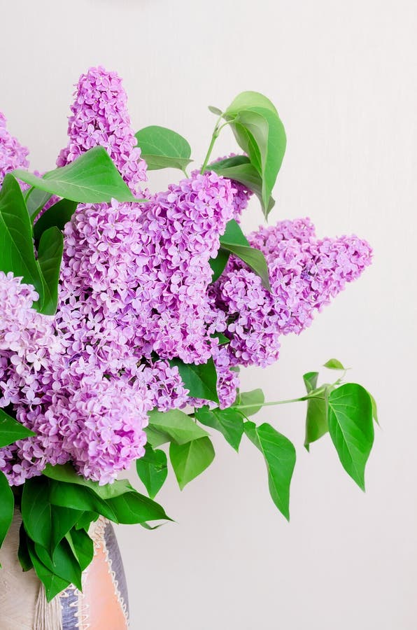 Bouquet of Lilac in a Vase. Stock Photo - Image of natural, beautiful ...